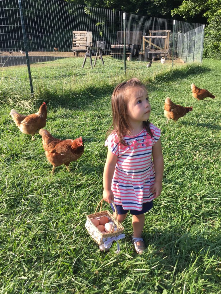 Raising Chickens and Children - Backyard Poultry